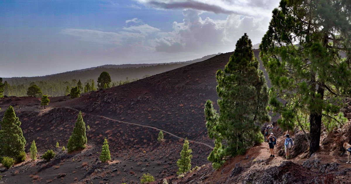 Montaña Negra: idyllische Vulkanwanderung auf Teneriffa